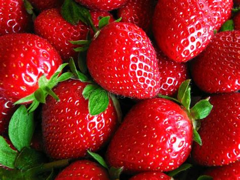 Vector Strawberry Frame Isolated On Background Stock Vector