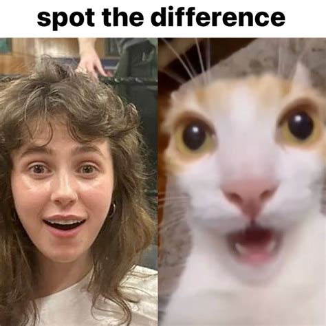 20 Cute Ideas In 2025 Timmy T Cute Timothee Chalamet