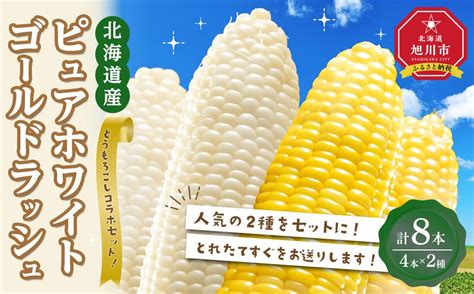 【先行受付】人気のとうもろこしコラボセット ピュアホワイト4本×ゴールドラッシュ4本（2025年8月下旬より発送予定）【 白いとうもろこし
