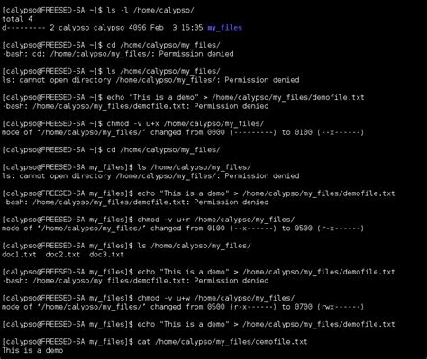 以上 chmod example Chmod example python