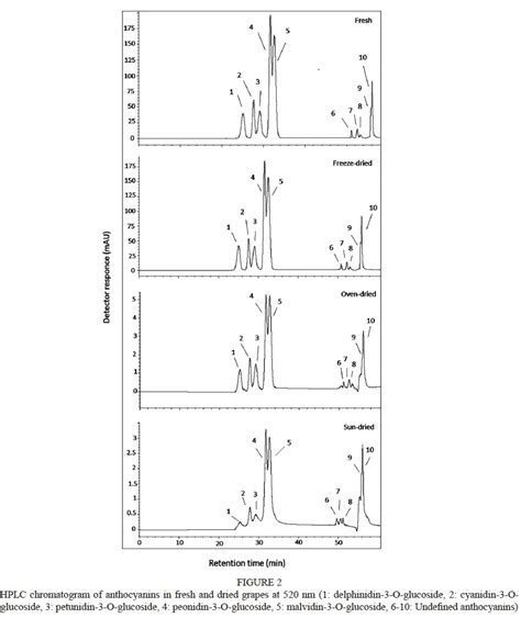Effect Of Sun Oven And Freeze Drying On Anthocyanins Phenolic