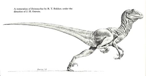 Deinonychus Vs Velociraptor