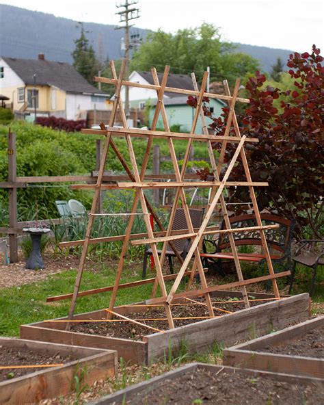 DIY Trellis Ideas Patient Gardener