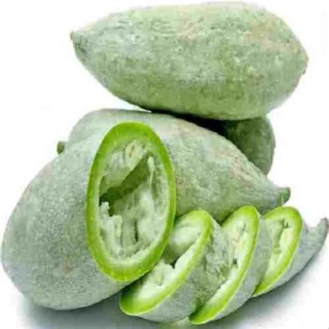 White Base Mild Steel Rectangle Suggestion Box 5 Mm At Rs 750 Piece