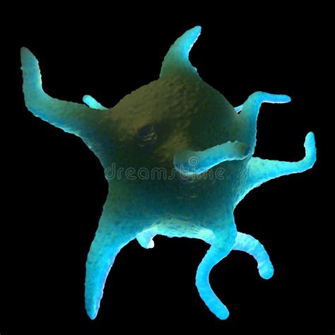 An Activated Platelet Stock Illustration Illustration Of Blood 321804384