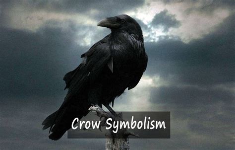 Crow Symbolism Spiritual Meanings Across Native American Cultures