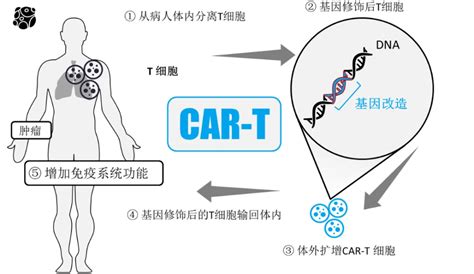 一针120万，天价car T疗法如何生根？ 动点科技