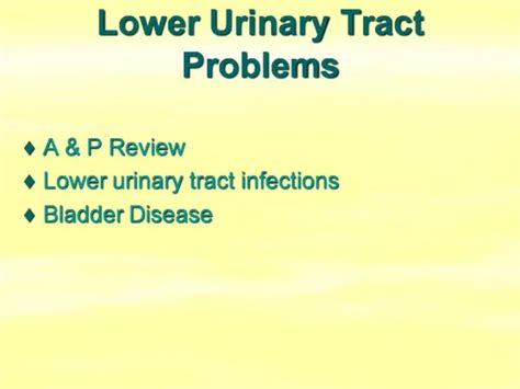 Ppt Endoscopy And Radiology For Lower Urinary Tract Dysfunction