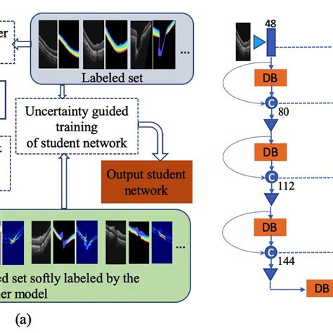 PDF Uncertainty Guided Semi Supervised Segmentation Of Retinal Layers