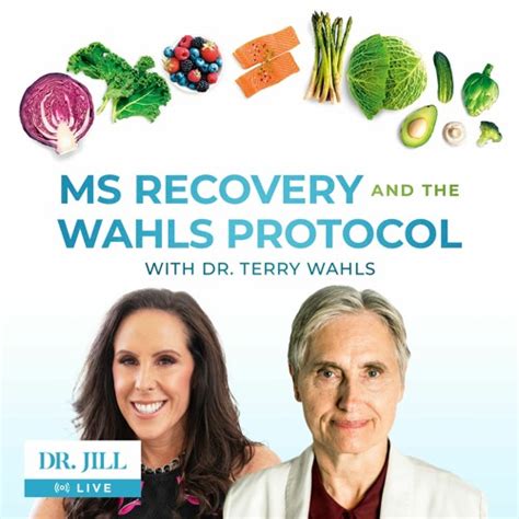 Stream Episode 128 Dr Jill Interviews Dr Terry Wahls On Recovery