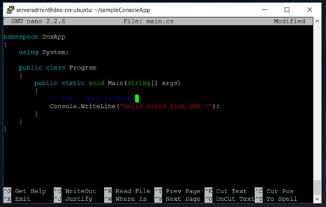 Solving It Puzzles Net Console Application On Linux Hello World