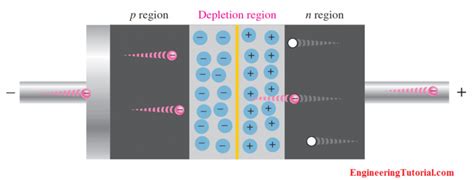 Forward Bias And Reverse Bias Of A Diode Engineering Tutorial