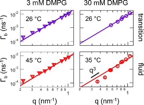 Log Log Plot Of The Measured Decay Constants C B Vs Q For The Download Scientific Diagram