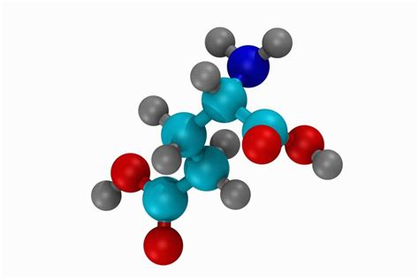 Amino Acids Structure Classification And Function
