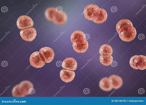 Streptococcus Pneumoniae Bacteria 3d Scientific Illustration Stock Illustration Illustration