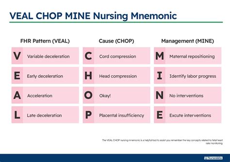 Nurseslabs Veal Chop Mnemonic Helps Quickly Identify