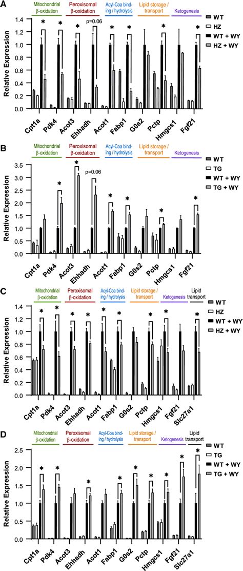 Sirt6 Promotes Hepatic Beta Oxidation Via Activation Of Pparα Pmc
