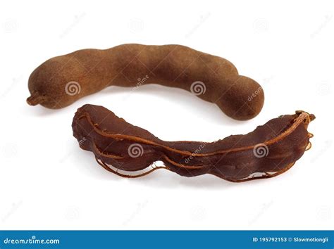 Tamarind Tamarindus Indica Frutos Contra Fundo Branco Imagem De Stock