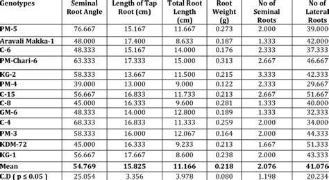 Mean Performance Of Maize Zea Mays L Genotypes For Root Traits Under Download Scientific