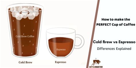 Cold Brew Vs Espresso Which One Should You Choose