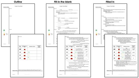 How To Use Cornell Notes In High Babe Science It S Not Rocket Science