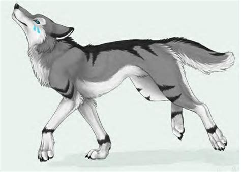 Clans Of The Lands Wolf Clan Rp