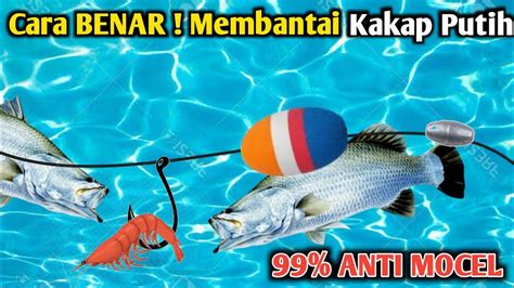 Jangan SALAH Merangkai Pancing Kakap Putih YouTube
