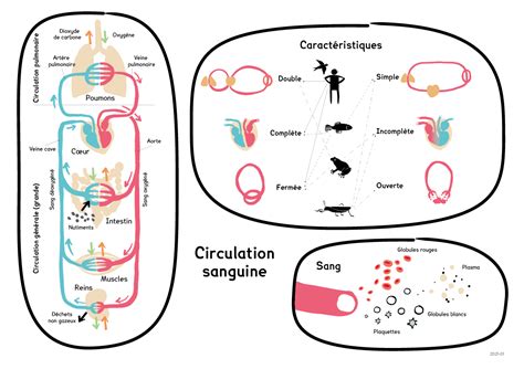 Ce1d Sciences Synthèses