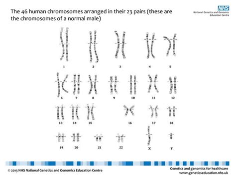 Explanation Of Autosomal Dominant Inheritance Pptx Infertility Reproductive Health