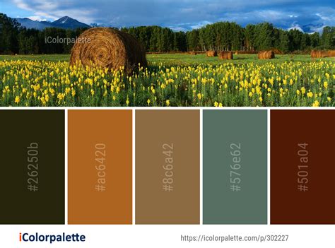 Color Palette Ideas From Grassland Ecosystem Field Image Icolorpalette