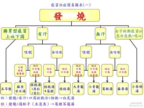 倪海厦感冒治症简易图表附图 经方界 学经方做好中医