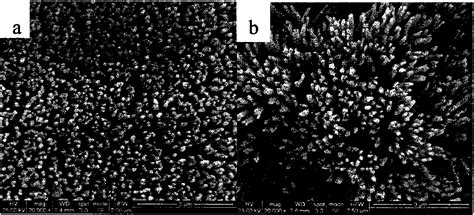Rutile Tio2 Nanowire Array Synthesized By Soft Chemistry And