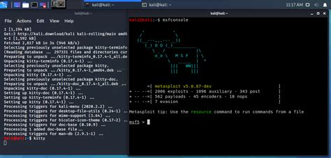 Kitty Doesnt Have A Terminfo File For Metasploit · Issue 13324