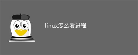 Linux怎么看进程 叮当号