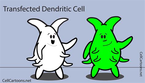 Transfection Cell Cartoons