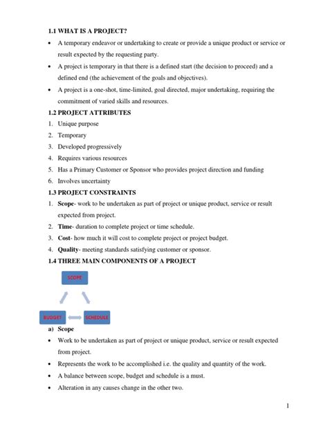 project management summary pdf project management business