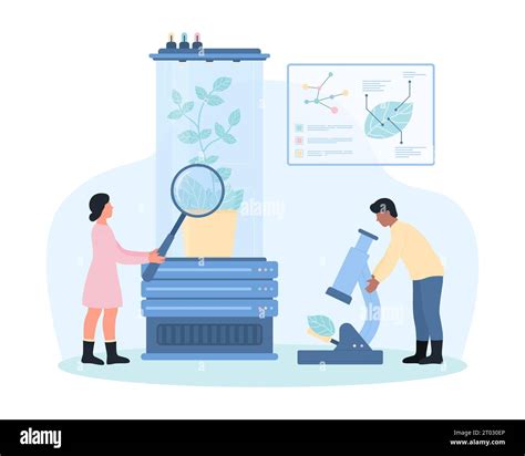 Agriculture And Biotechnology Lab Research By Scientists Vector