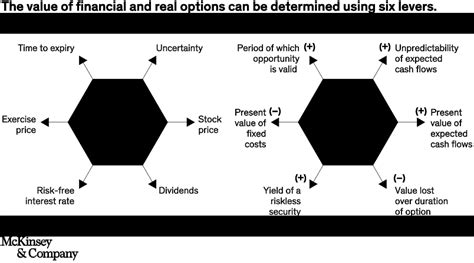 Real Options Valuation Virtual Auditor Learning Centre