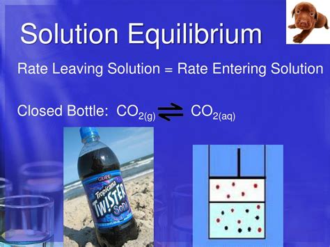 Ppt Phase Equilibrium Powerpoint Presentation Free Download Id2503286