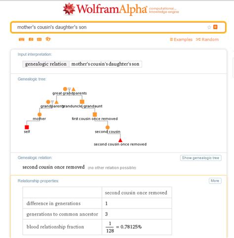 How To Use Wolfram Alpha Knowledge Engine
