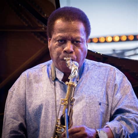 Wayne Shorter Tenor Sax Solo On 502 Blues Drinkin And Drivin Allsolos