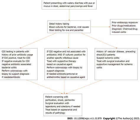 Pseudomembranous Colitis Stool
