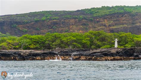 Kealakekua Bay Big Island Guide