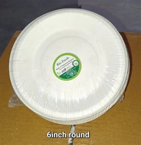 6 Inch White Plain Round Bagasse Plates At 1 45 Piece Bagasse