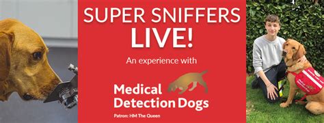 Super Sniffers Live Medical Detection Dogs