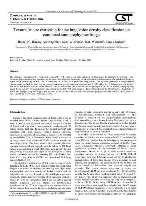 pdf texture feature extraction for the lung lesion density