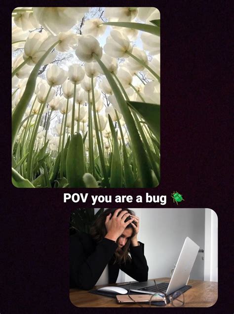 my first one here show some love r programmerhumor