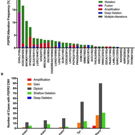 Fgfr2 Alteration Frequency And Distribution Across Tcga Cancer Types Download Scientific