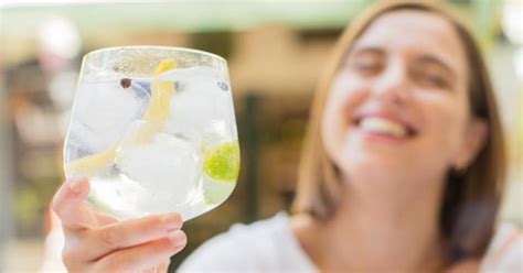 Drinks Com Gin 5 Receitas Para Você Fazer Deliway
