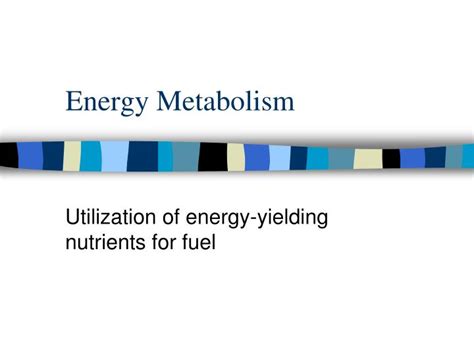 Ppt Energy Metabolism Powerpoint Presentation Free Download Id1400501